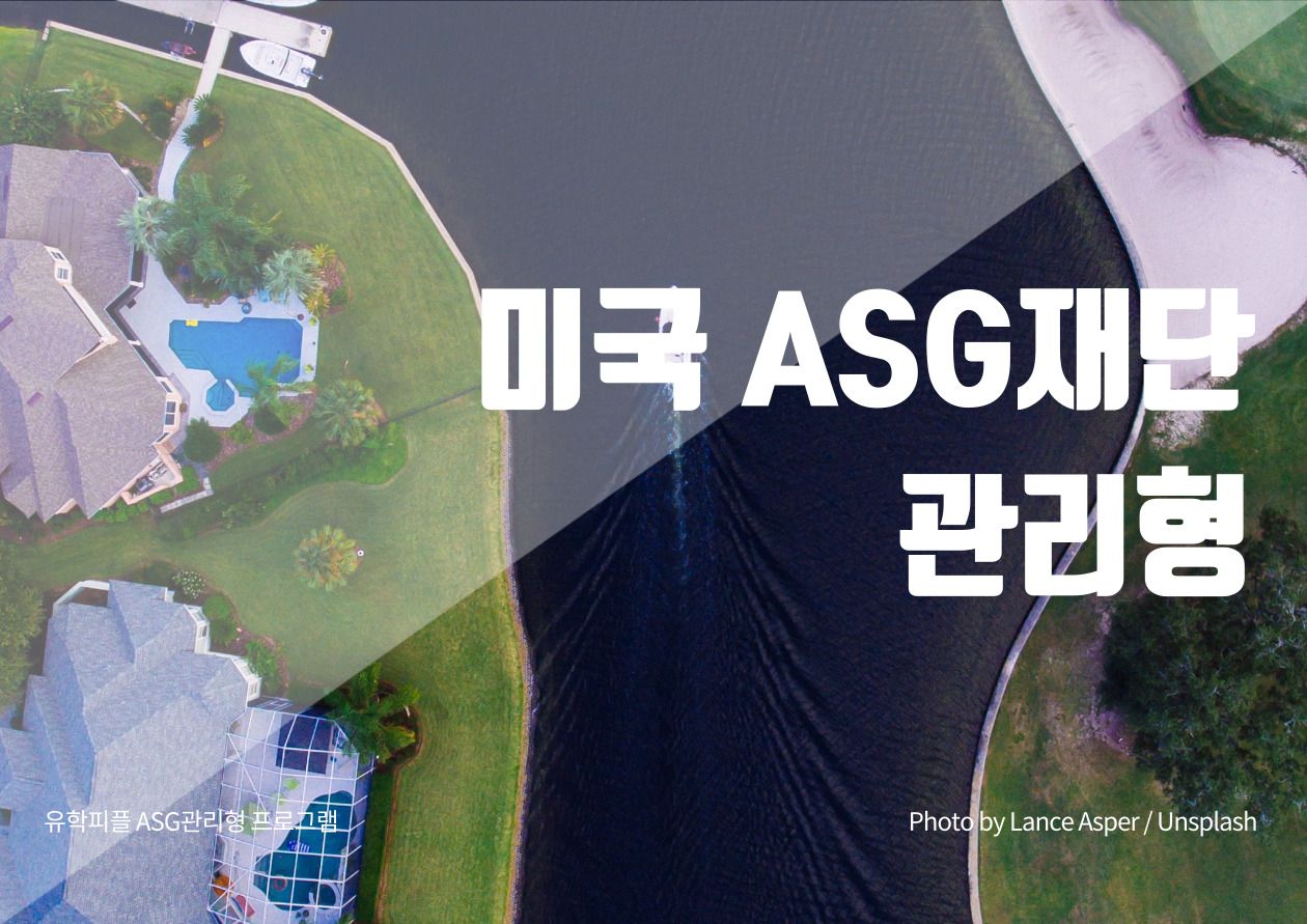 미국관리형, ASG 재단 관리형